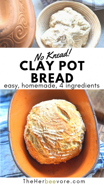 Clay Pot Bread Recipe (No Knead) - The Herbeevore